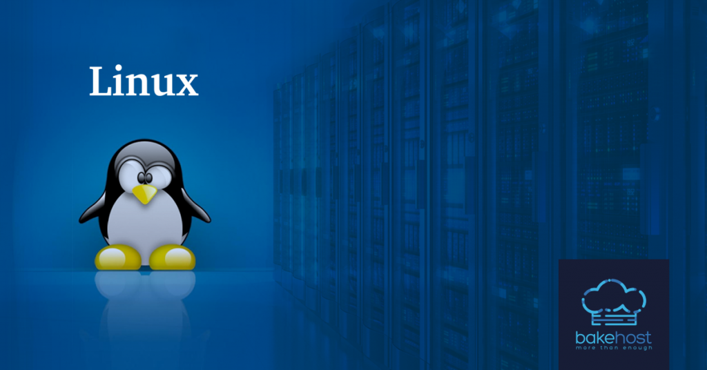 Differences Between Linux and Windows Servers - BakeHost
